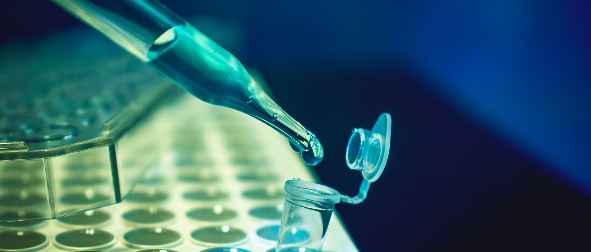 Immunotherapy Innovation | Blog | Finance Technology Leverage LLC